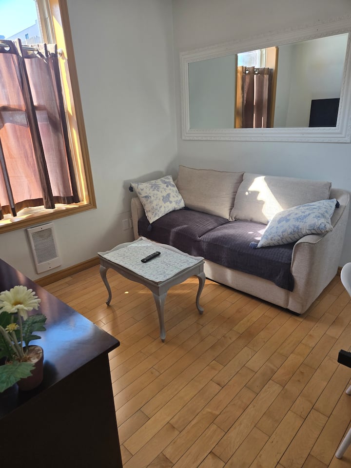 Lovely Place Downtown Ottawa 32d - Ottawa