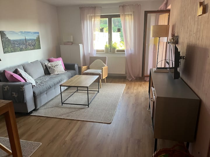 Ferienwohnung  1alage -Citynah - Schlossberg