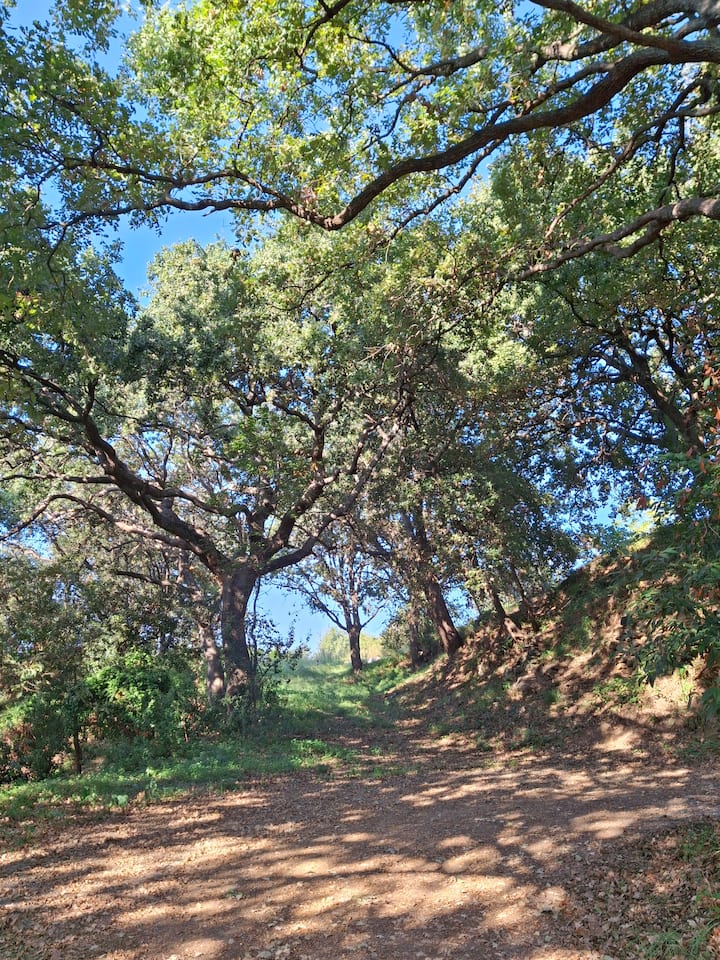 Le Querce (Bilocale Per 3) - Paola