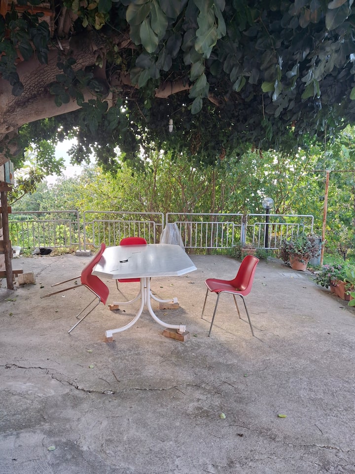 Le Querce 2 - Paola