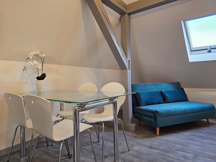 Comme Sur Un Nuage D'eau Entre Villes Et Vignes - Breisach