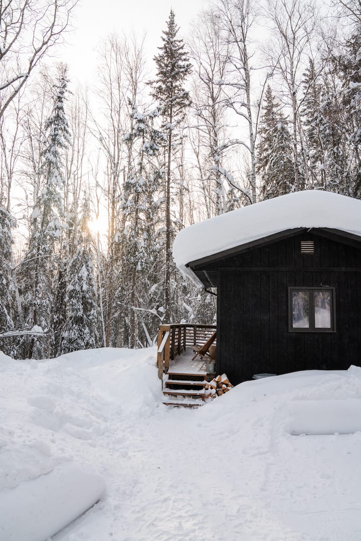 Skogstead Cabin In The Boreal Forest - Alaska