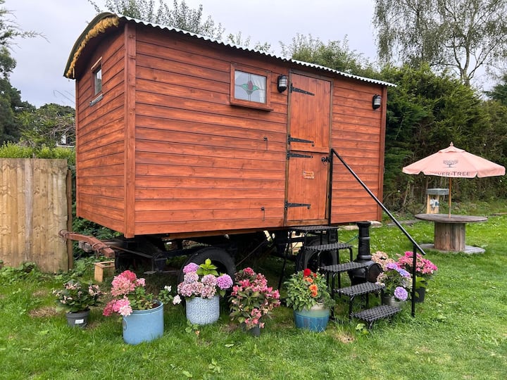 Rosehip Shepard Hut - Dorset