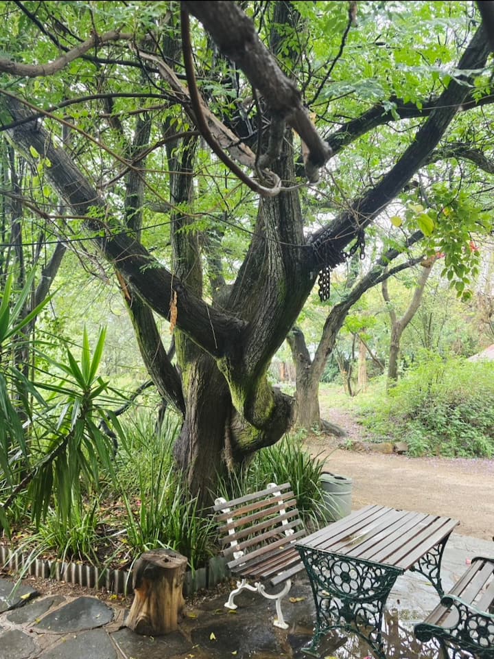 Comfortable Open Space - Lanseria