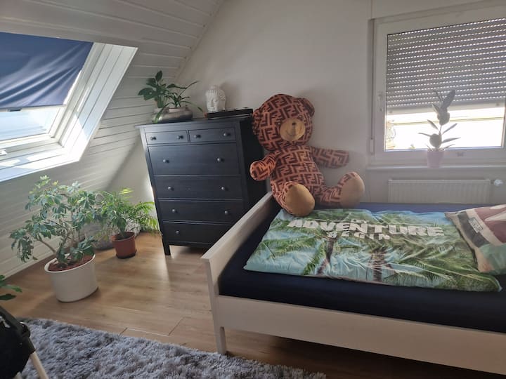 Kikapcsolódás A Folyó Mellett - Pforzheim