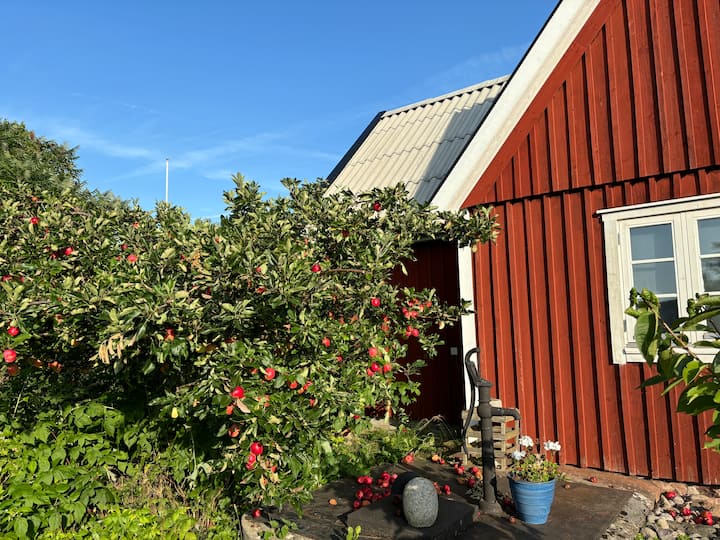 Härlig Stuga På Mysig Hästgård - Höör