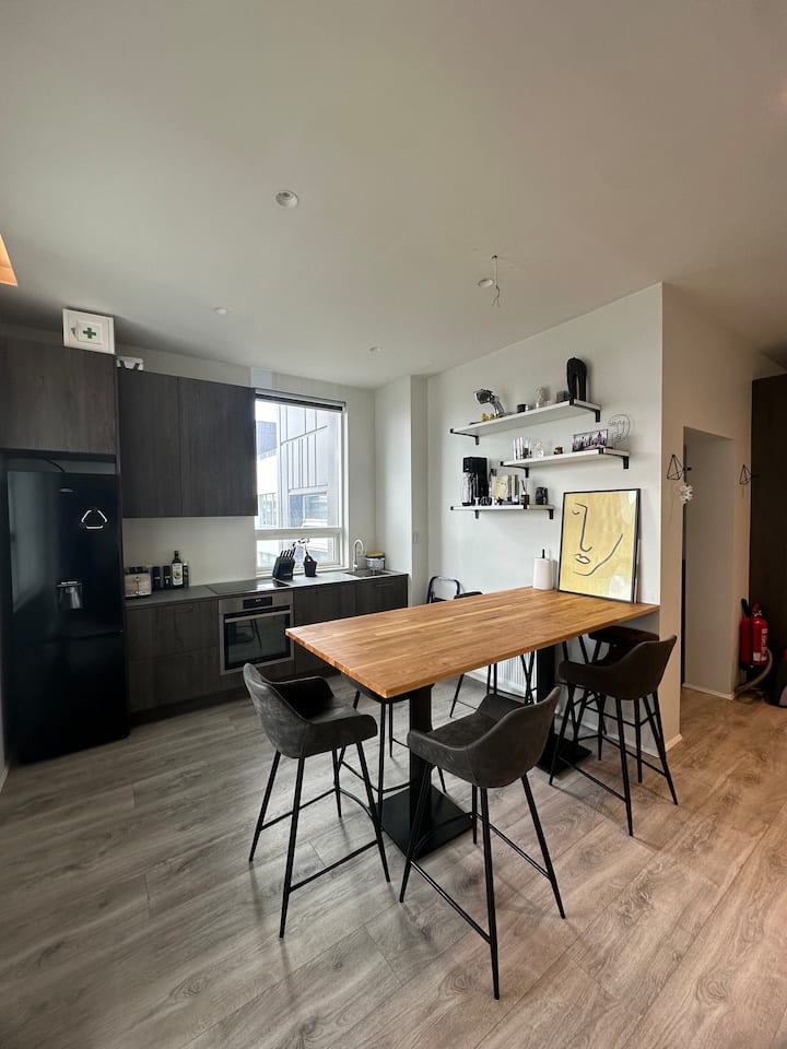 Apartment In Reykjavik - Reykjavik