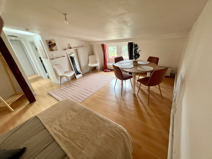 Studio Confortable -Hyper-centre - Strasbourg