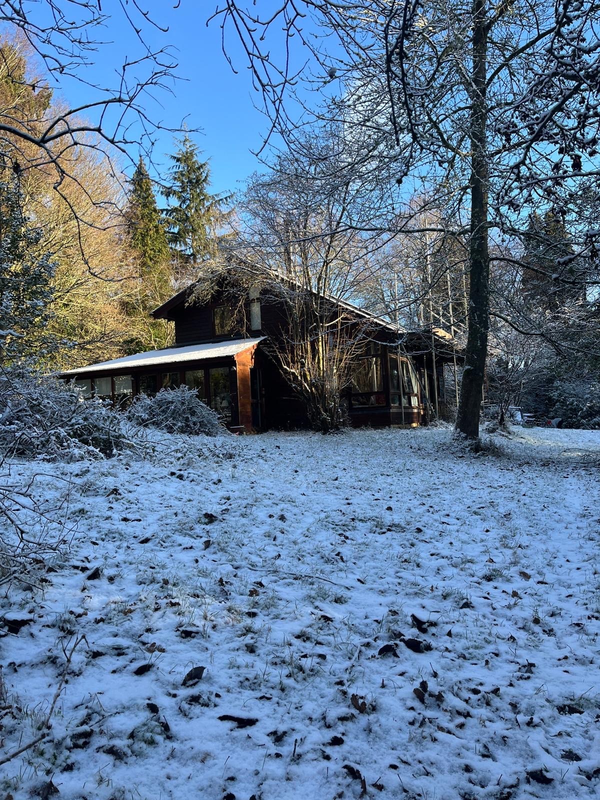 Refugio en el bosque de Ashdown - ¡Nuevo! - Cabañas en renta en ...