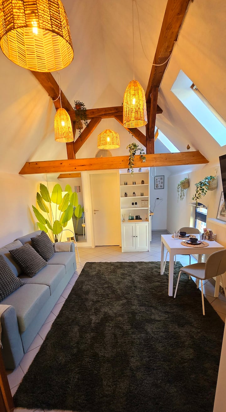 Apartment Mutterstadt Oase One - Mis - Ludwigshafen am Rhein