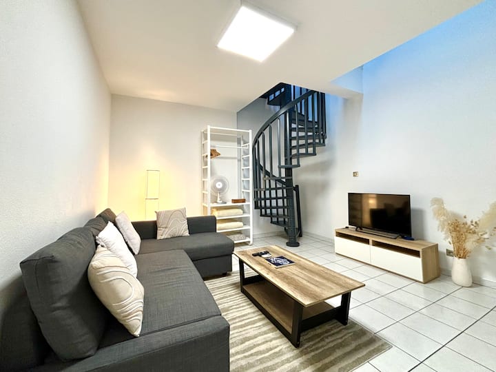 Charmant Duplex - Hyper Centre - Placestan - 44m2 - Nancy