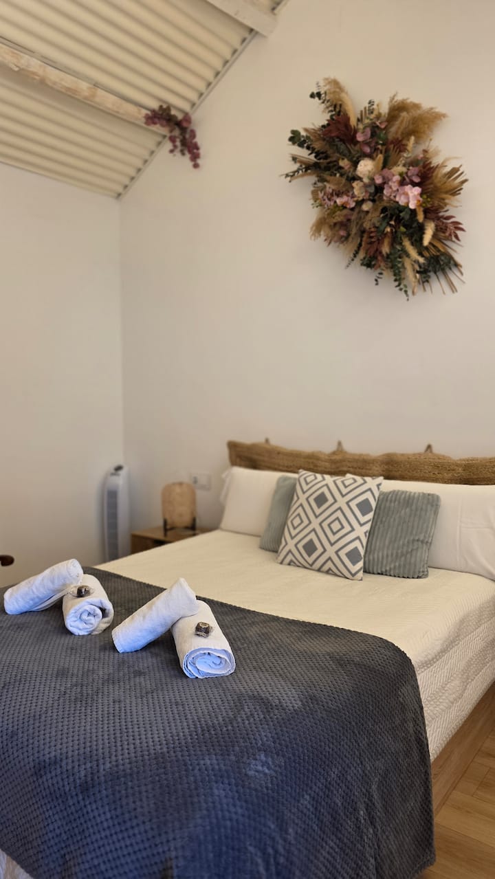 Domus Aurea Suite - Astorga