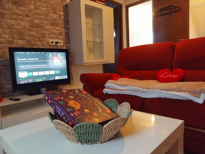 Staybyts-junglemonster-wifi-centre-parking-gratuit - Mulhouse