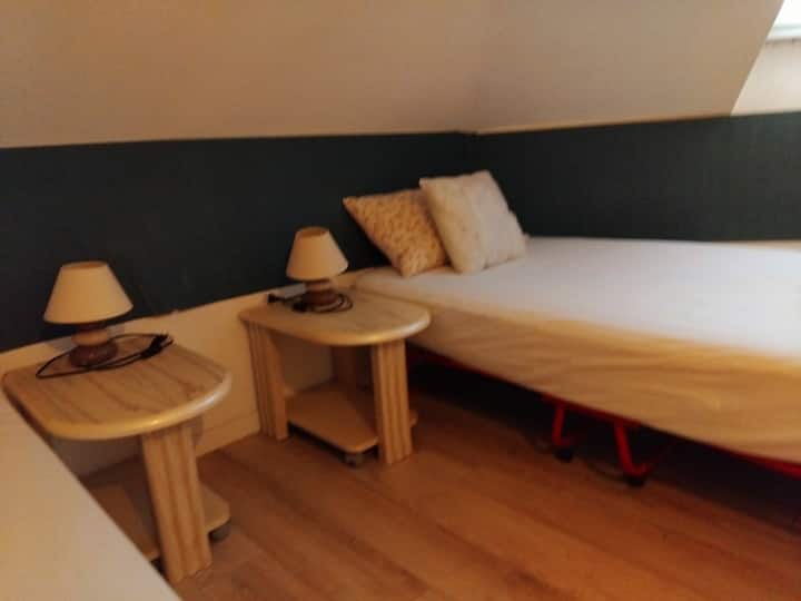 Staybyts-junglemonster-wifi-centre-parking-gratuit - Parc Zoologique et Botanique de Mulhouse