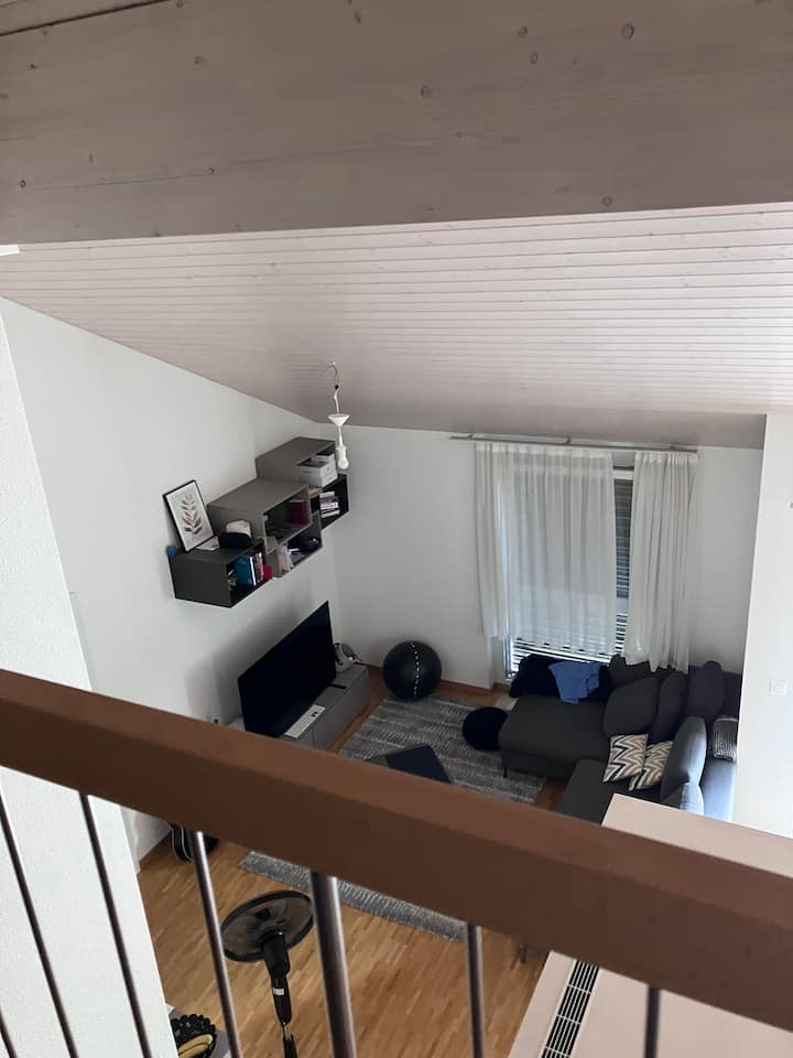Appartement Avec Mezzanine - Canton de Vaud