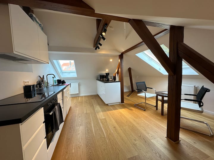 Geräumige Altbauwohnung - Dresden