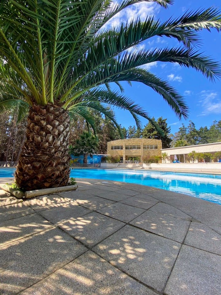 Alto Las Cruces En El Bosque Y Junto Al Mar - Cartagena