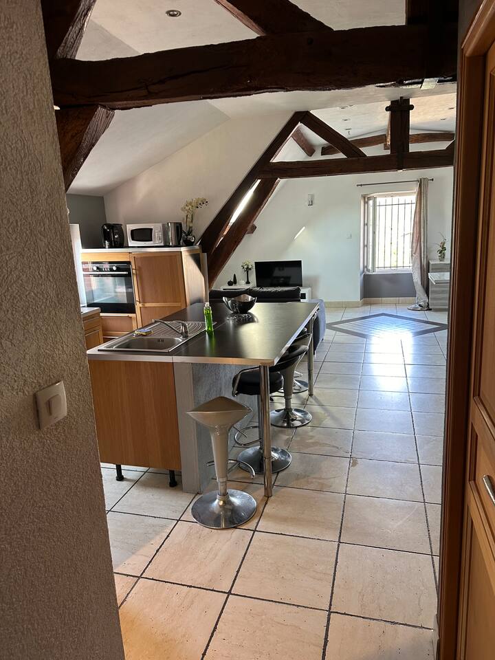 Appartement Des Anciennes Forges - Dole