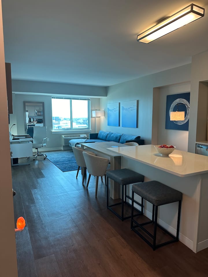 Downtown Stamford, Ct Apartment - Stamford, CT