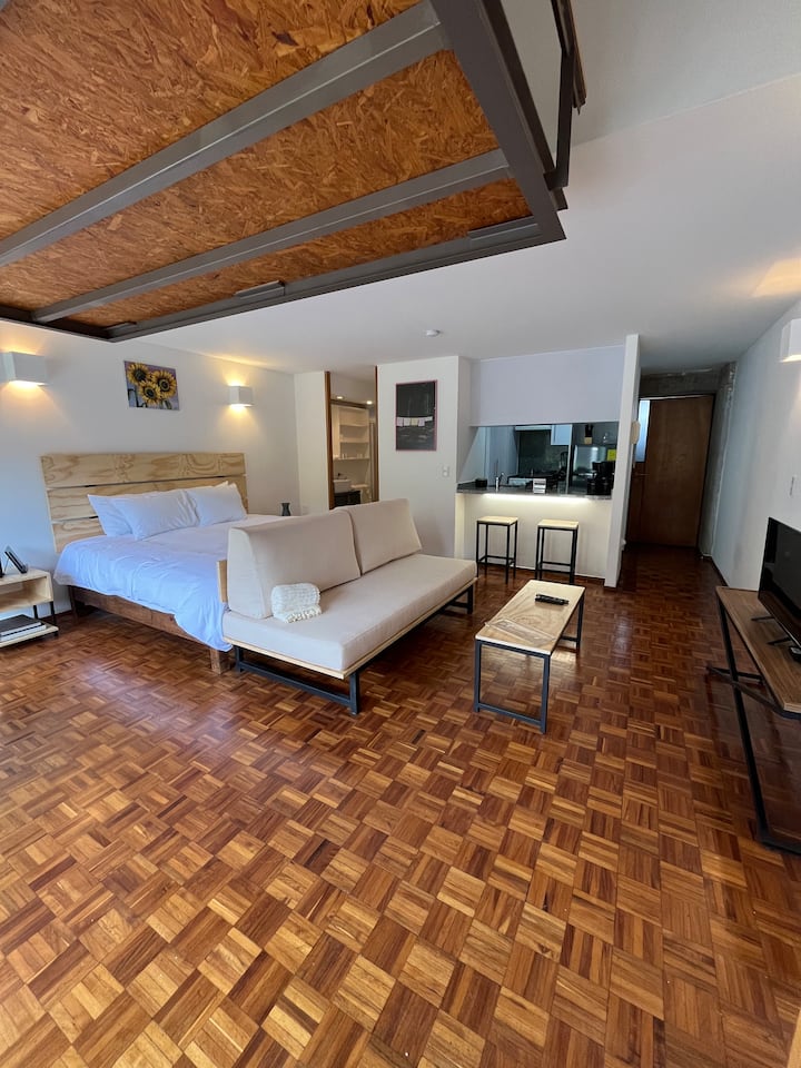 Loft + Estacionamiento & Seguridad 24 H (307) - Mexico City