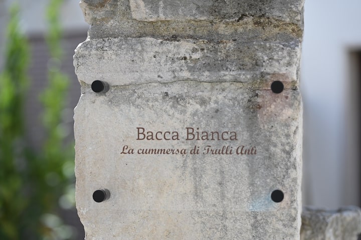 Bacca Bianca-trulli Antì Charme & Relax - 阿爾貝羅貝洛