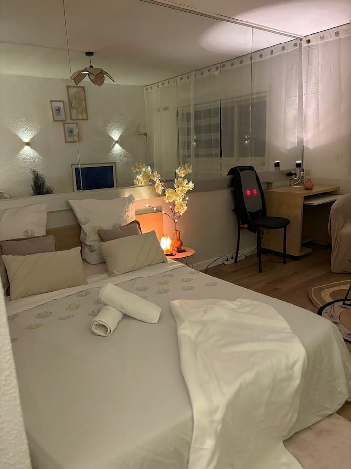 Cosy Avec Parking - Carquefou