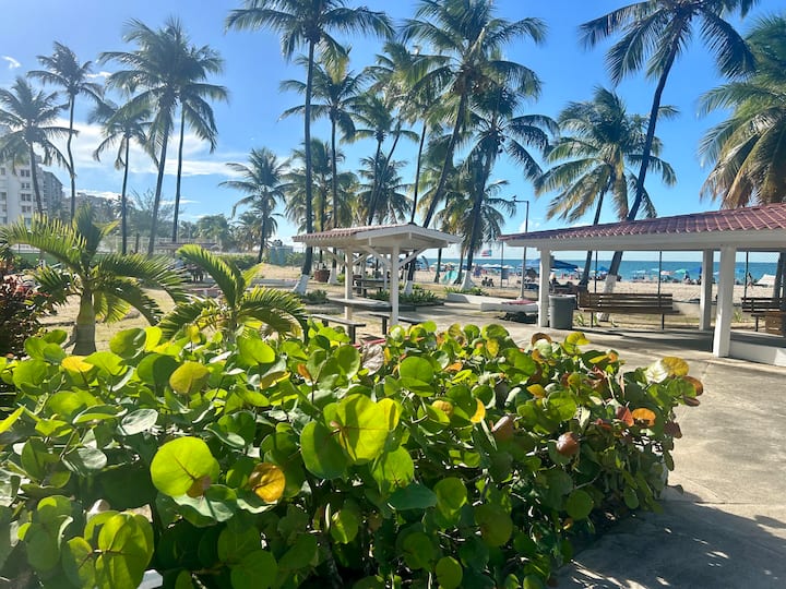 Beachfront Condo With Security - Porto Rico