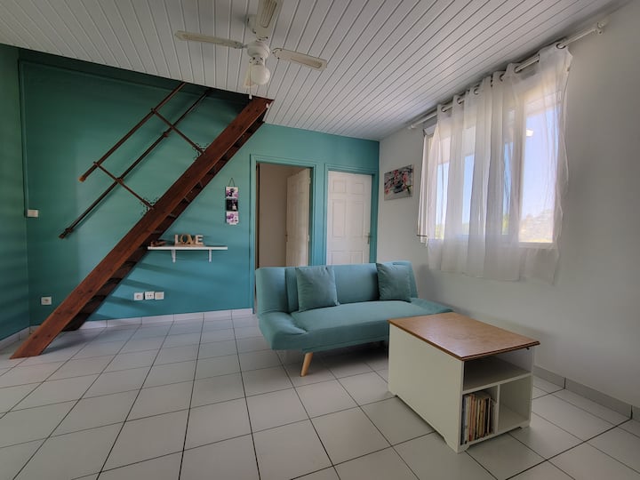 Le Lac Des Salines - French Guiana