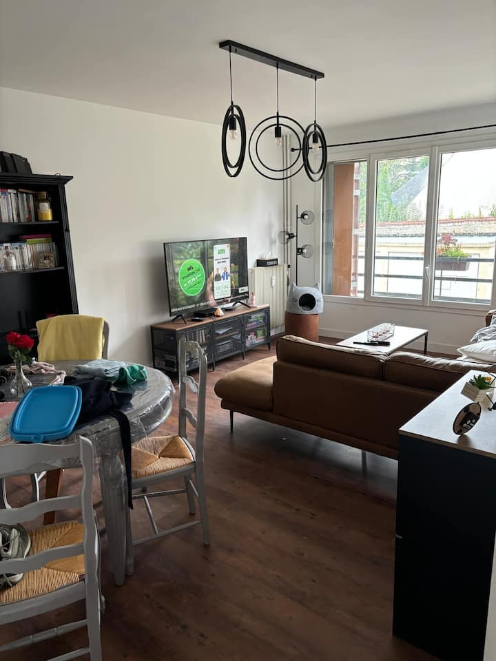 Chambre Au Calme En Plein Centre  Esprit Maison - Caen