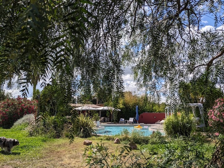 Gîte L'olivier - Thuir