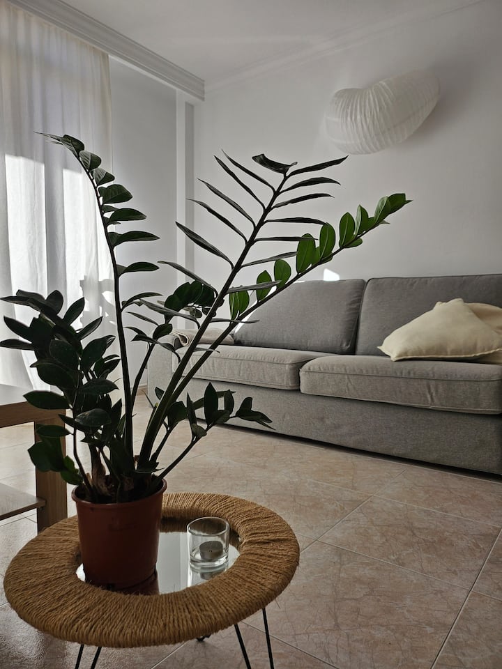 Habitación En Palma - 帕爾馬