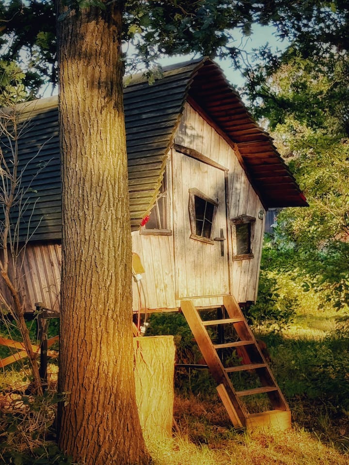 "Kleines Hüttchen" 1 Bis 2 Leut - Petershagen