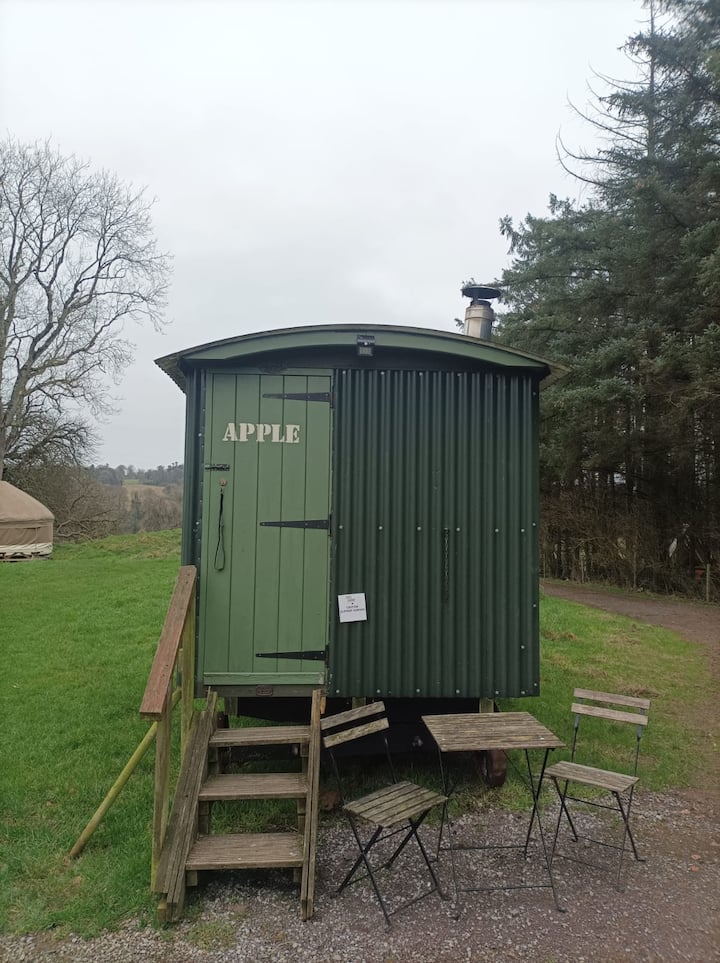 Apple Shepherd Hut - Navan