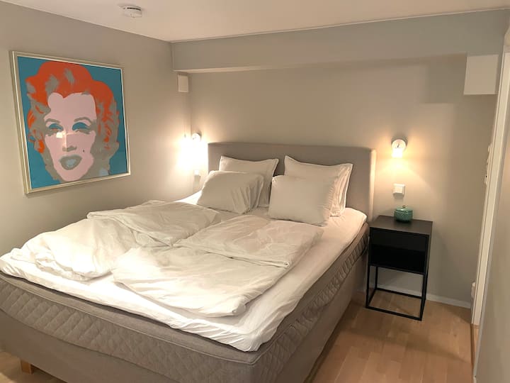 Fin Liten Leilighet I Villa - Gratis Parkering! - Oslo