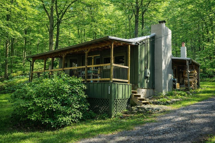Cozy Cabin Minutes From Wintergreen And Breweries - Wintergreen Resort, VA