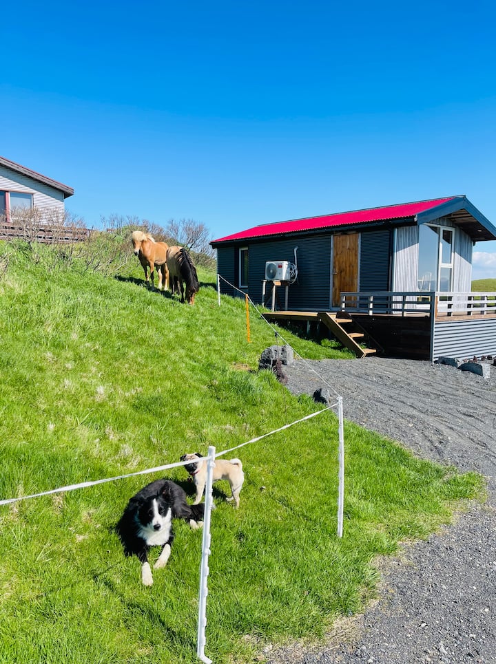 Traditional Icelandic Cabin 4
Vestra-fíflholt - Island