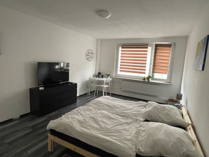 Zentrales Basic Apartment 2 - Gelsenkirchen