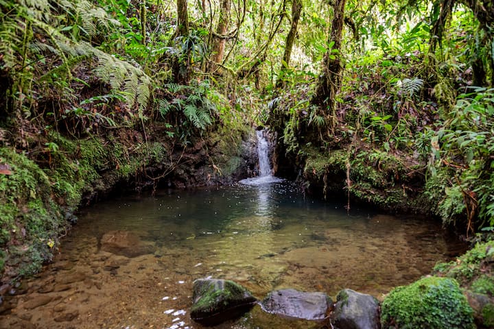 Barbas Bremen Cabin –Jacuzzi, Waterfall & Fire Pit - Filandia