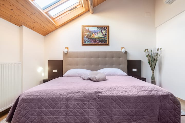 Riverside Palace Duplex Suite - Prague