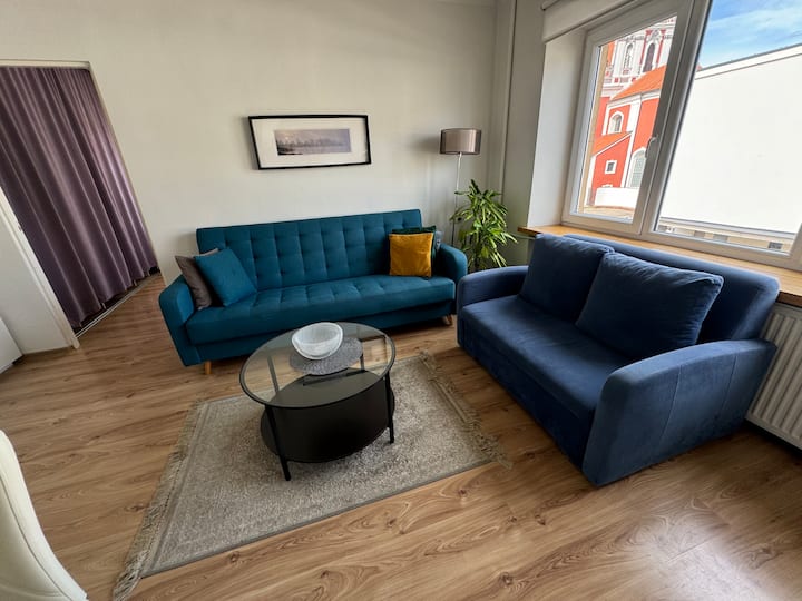Spacious Aprt Vilnius Old Town - Vilnius