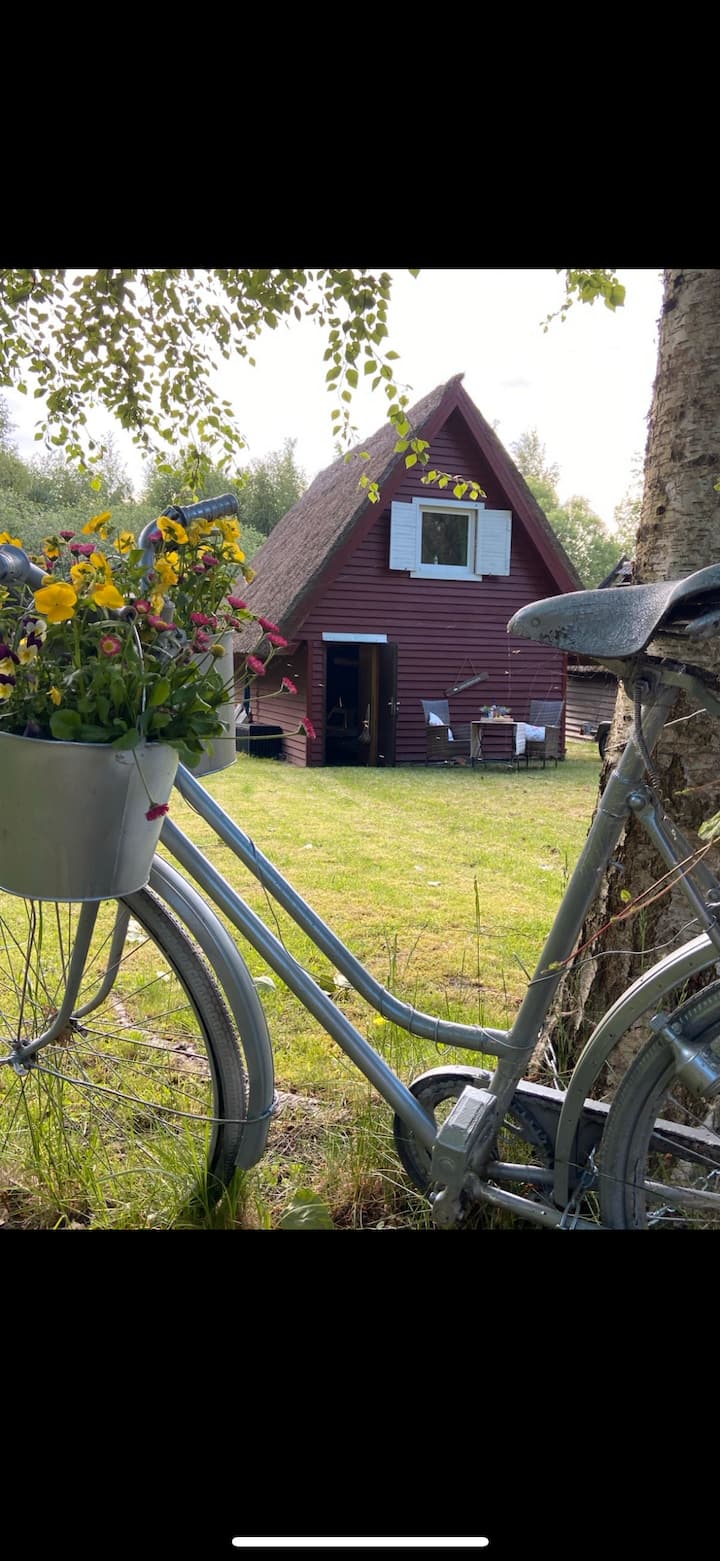 Idyllisches Reet-bootshaus Direkt Am Wasser - Dobbertin