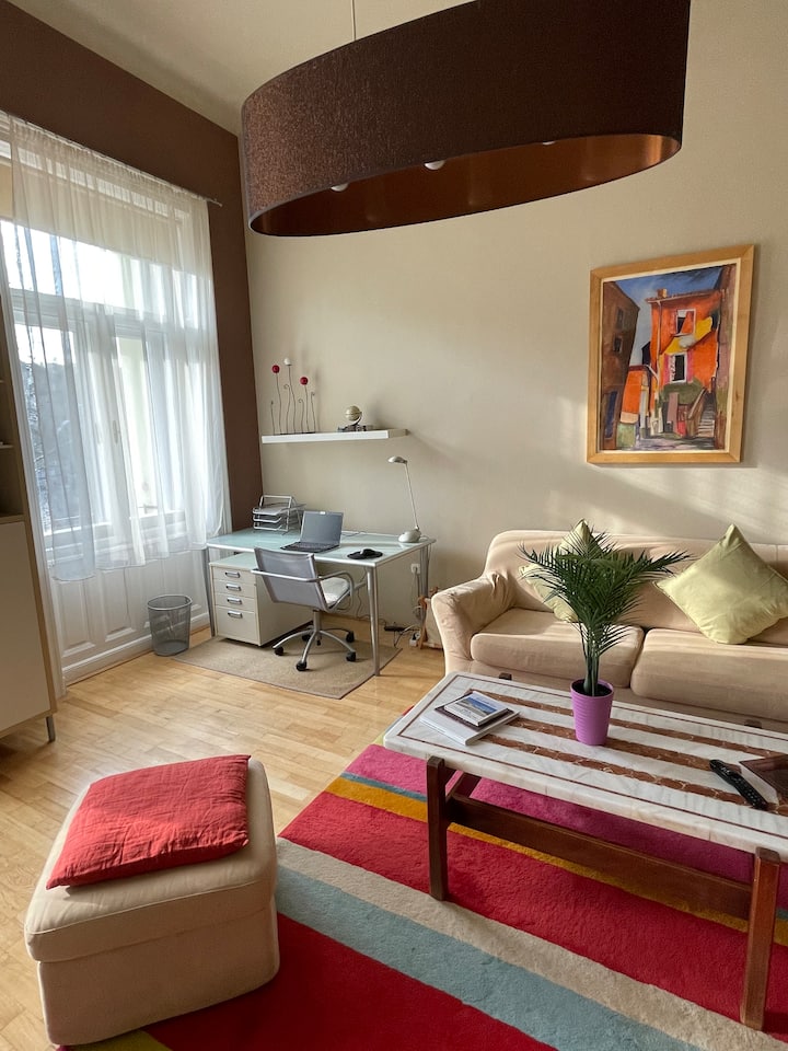 Your Spacious Home By A Sunny Park - Budapest