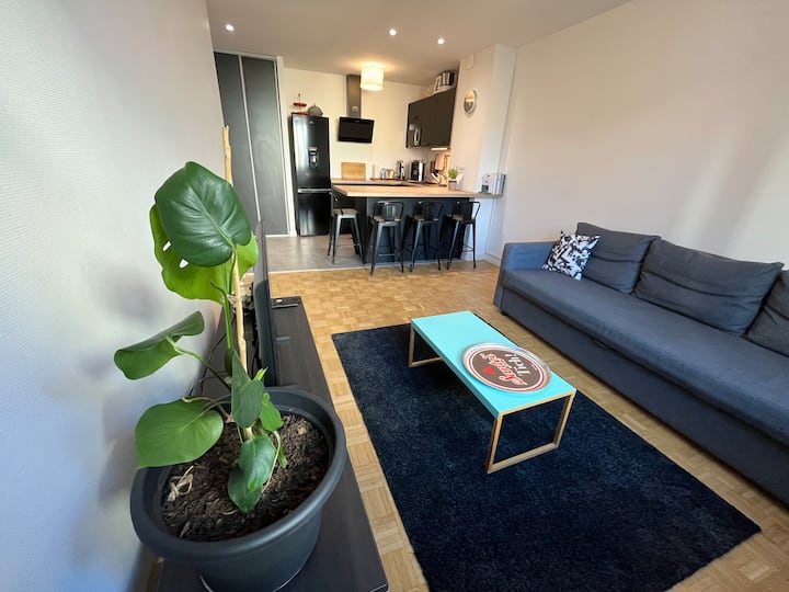 Appartement En Cœur De Ville - Saint-Étienne