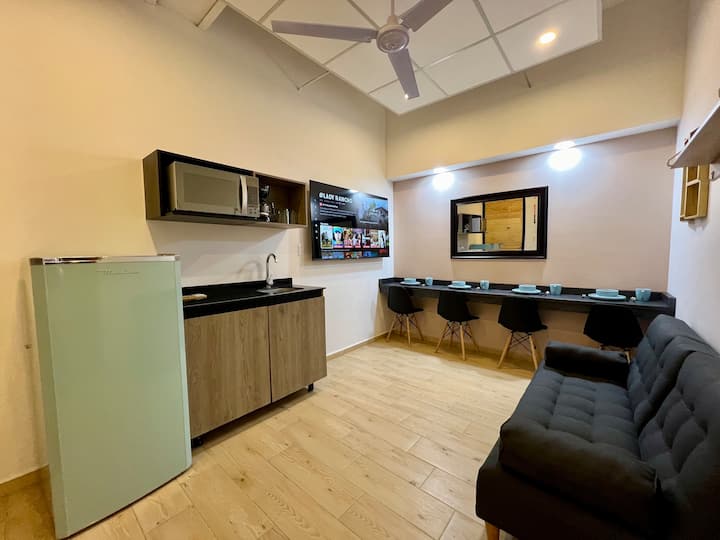 Departamento Carranza Polanco 17 - San Luis Potosí