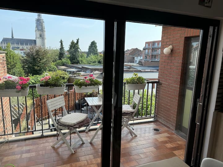 Grand Appartement Près Du Centre - Tubize