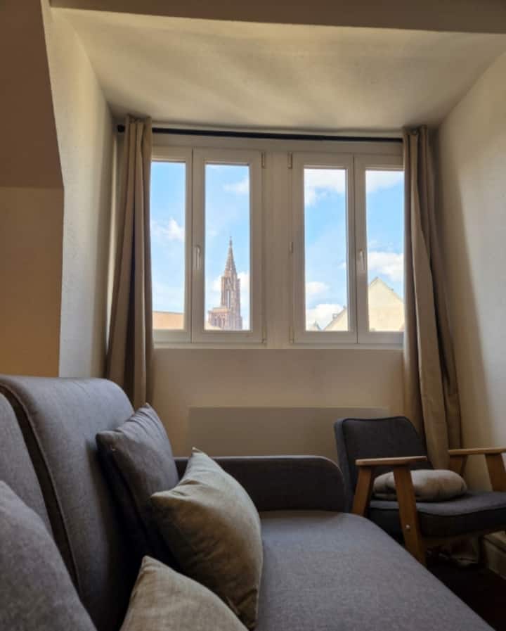 Renovated Apartment With Cathedral View - Strassburg