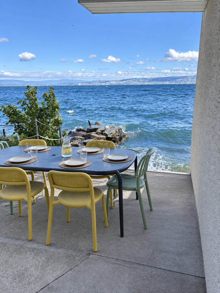 Duplex Vue Léman Terrasse & Accès Au Lac - Évian-les-Bains