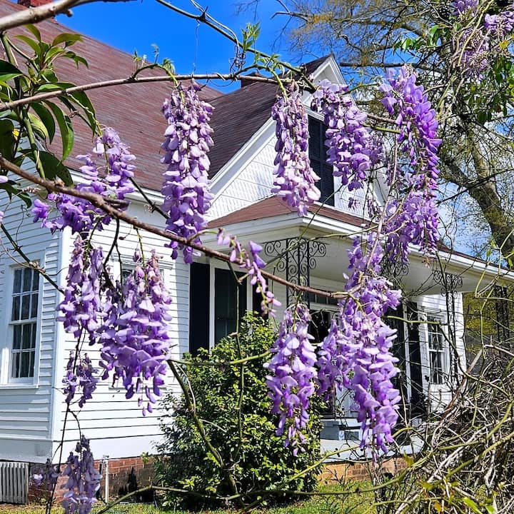 1880 Victorian-country Getaway-dark/moody/eclectic - Mississippi