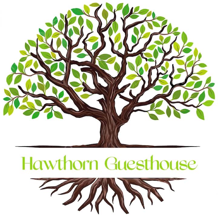 Hawthorn Guesthouse Studio 4 - Cambridgeshire