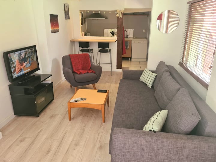 La Maisonnette Du Raisin - Ibis Styles Toulouse Capitole